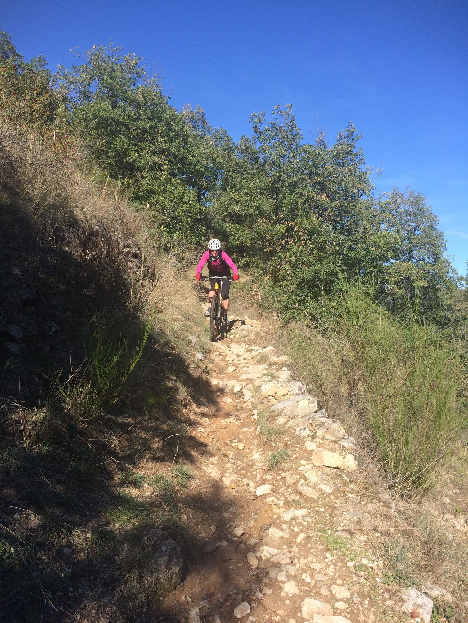 How to improve your performance on a hilly ultra endurance cycling or ...