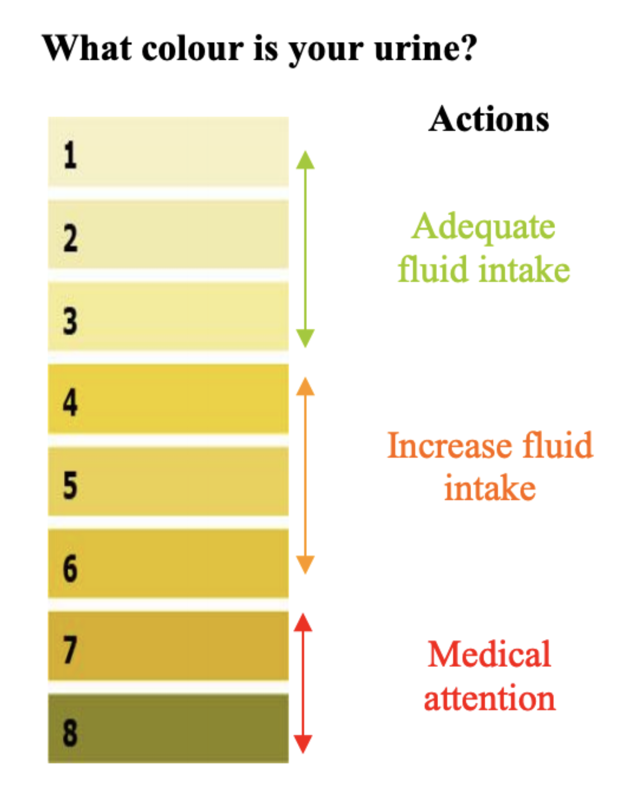 What to eat and drink during your long bike rides, races and events